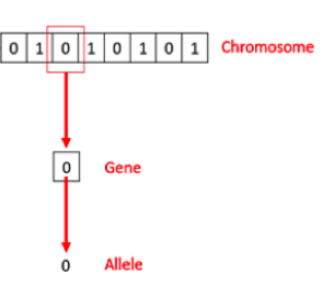 Evaluating the Maximum value of Stalagmite function and the point at which occurs using GENETIC ...